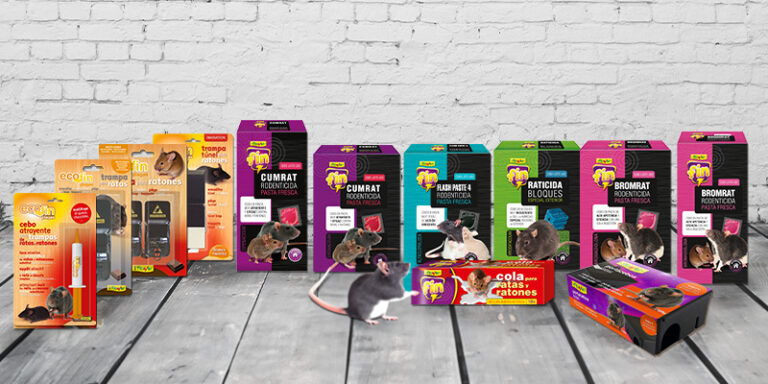 Cómo elegir veneno para ratas: raticidas efectivos para el hogar